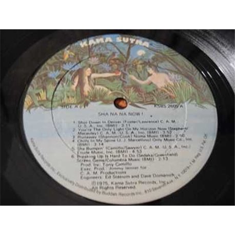 Sha Na Na - Sha Na Now Vinyl LP Record For Sale